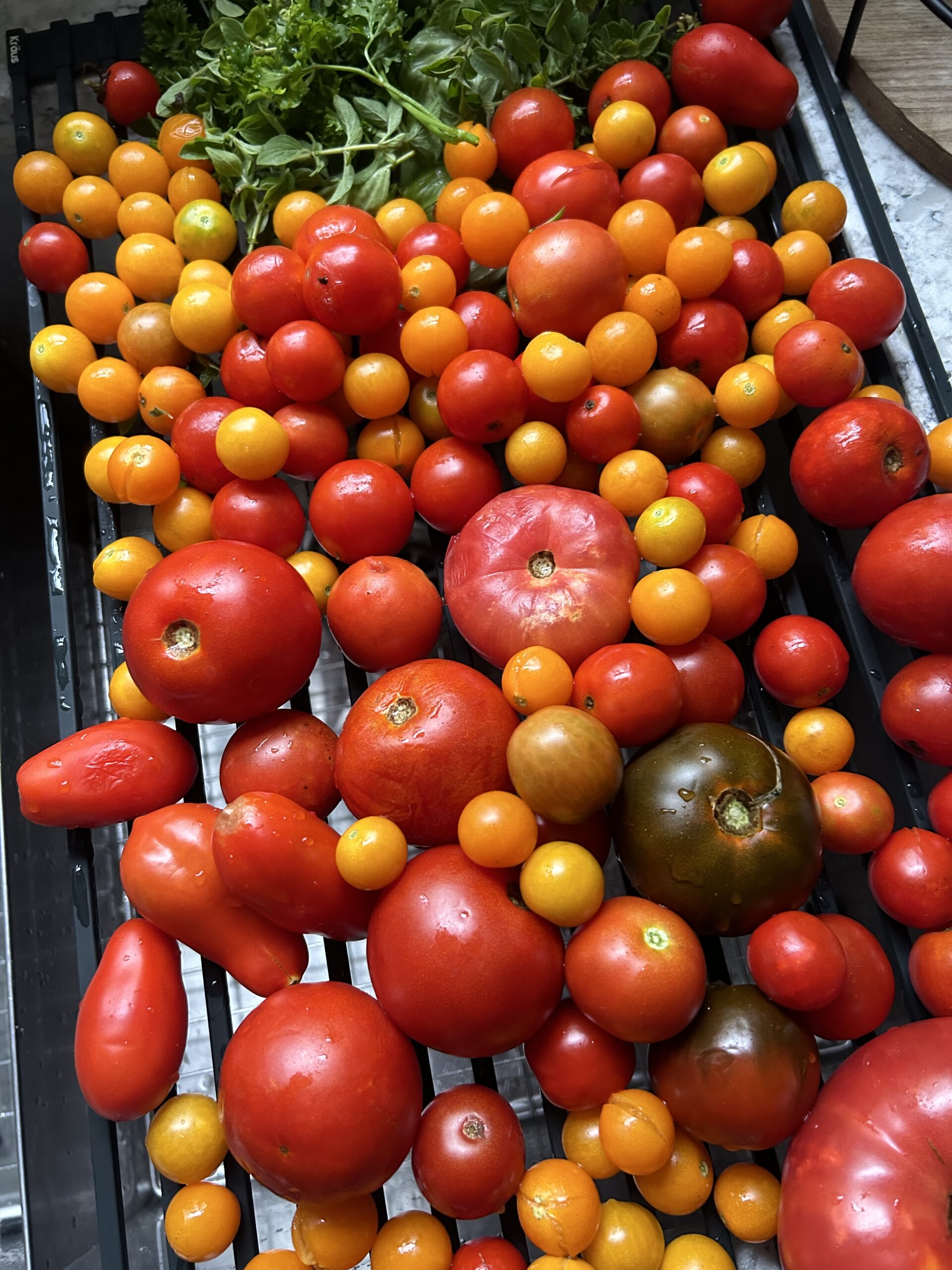 Quick and Easy Homemade Pasta Sauce - Edwards Farmstead